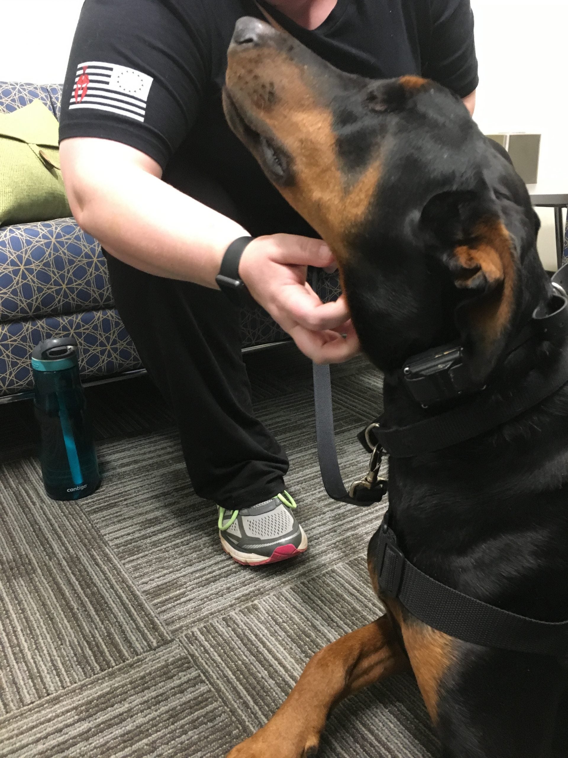 A Call for Help: The Right Voice Can Save Lives - Centerstone